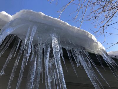 Nature: An Appointment with Icicles and Memories | Camilla DownsCamilla ...