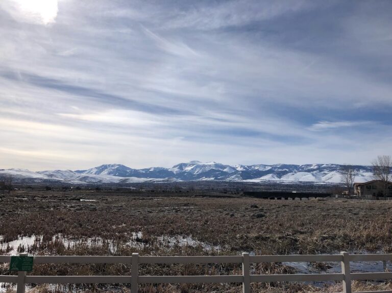 Nature's Master Class - An Hour Long Walk | Camilla DownsCamilla Downs