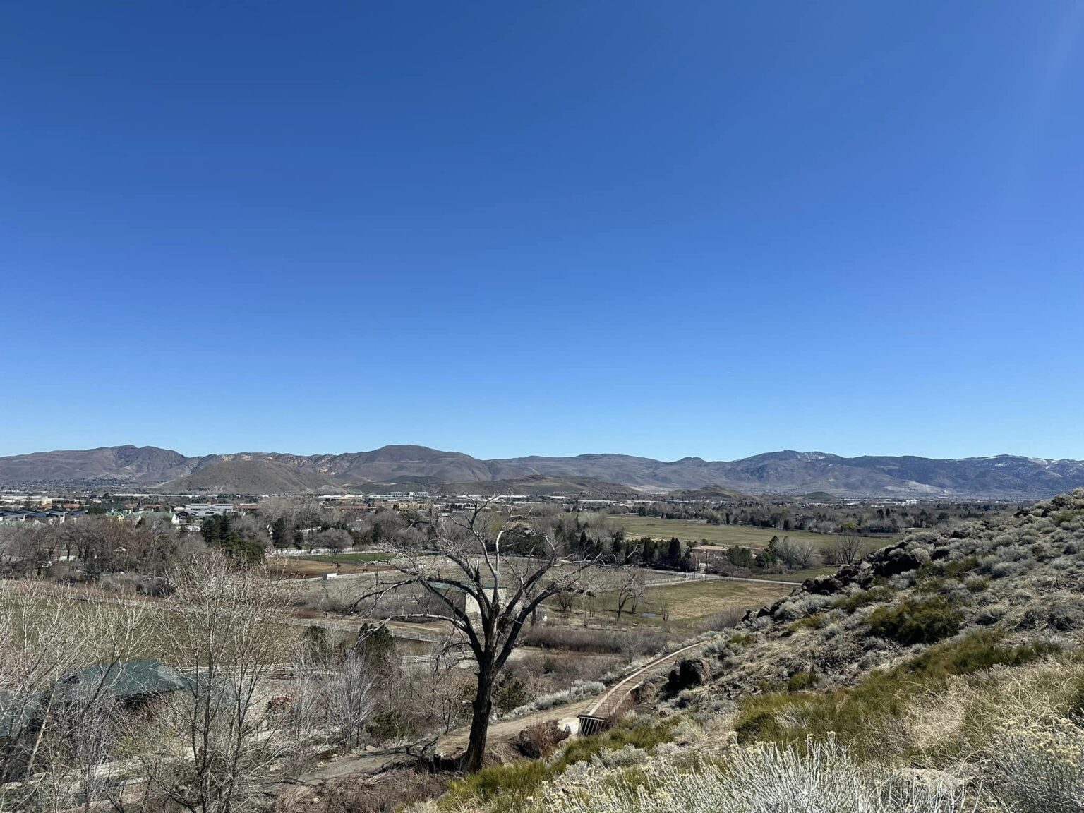 Blog | Camilla DownsCamilla Downs | Soul Writer