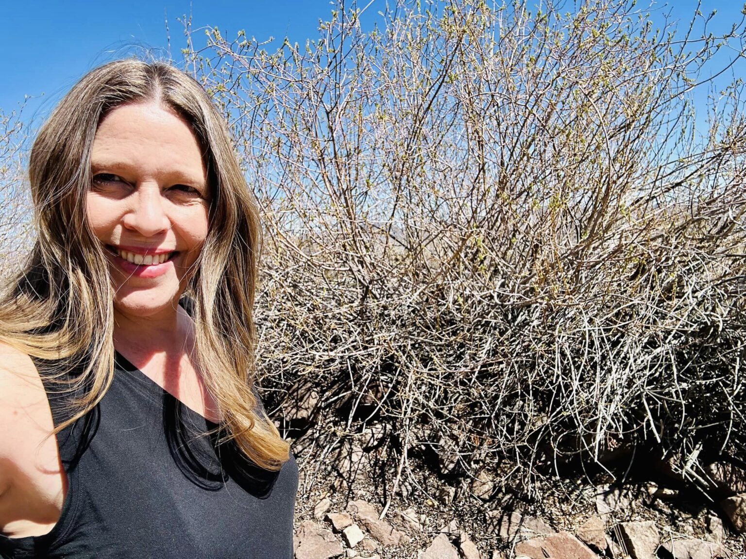 Blog | Camilla DownsCamilla Downs | Soul Writer