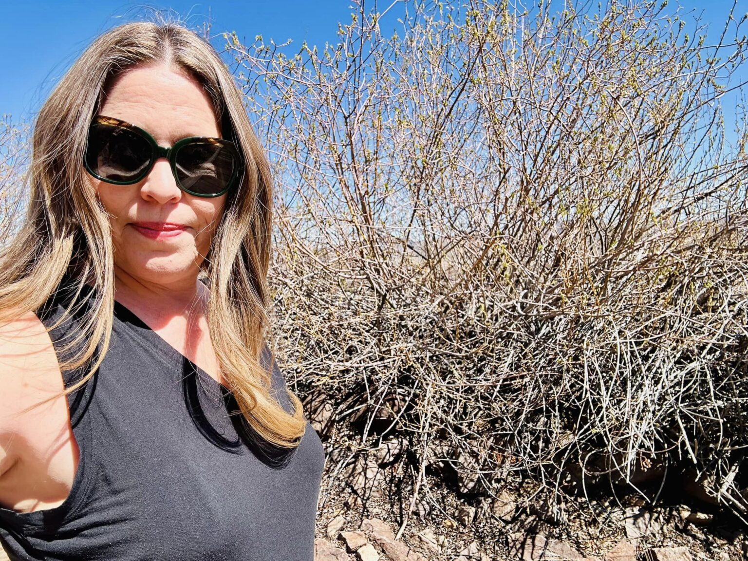 Blog | Camilla DownsCamilla Downs | Soul Writer